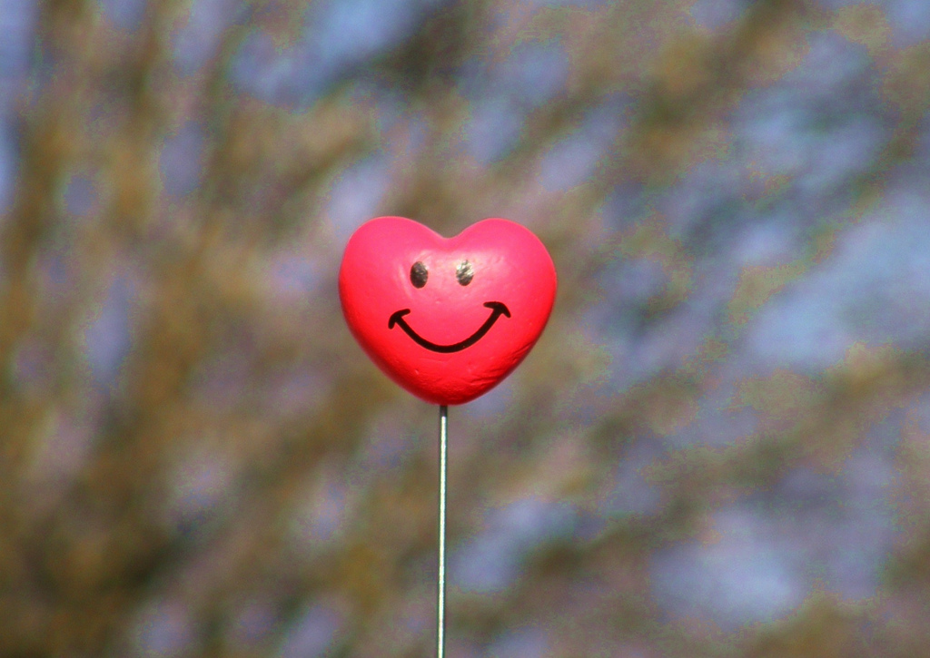 Being Optimistic Is a Heart Healthy Choice - SavingAdvice.com Blog Being Optimistic Is a Heart Healthy Choice - SavingAdvice.com Blog