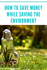 How to Save Money While Saving the Environment - SavingAdvice.com Blog