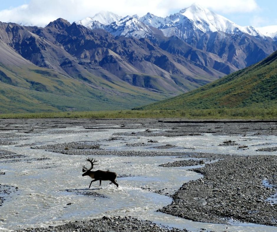 Free Things to Do in Anchorage, Alaska - SavingAdvice.com Blog