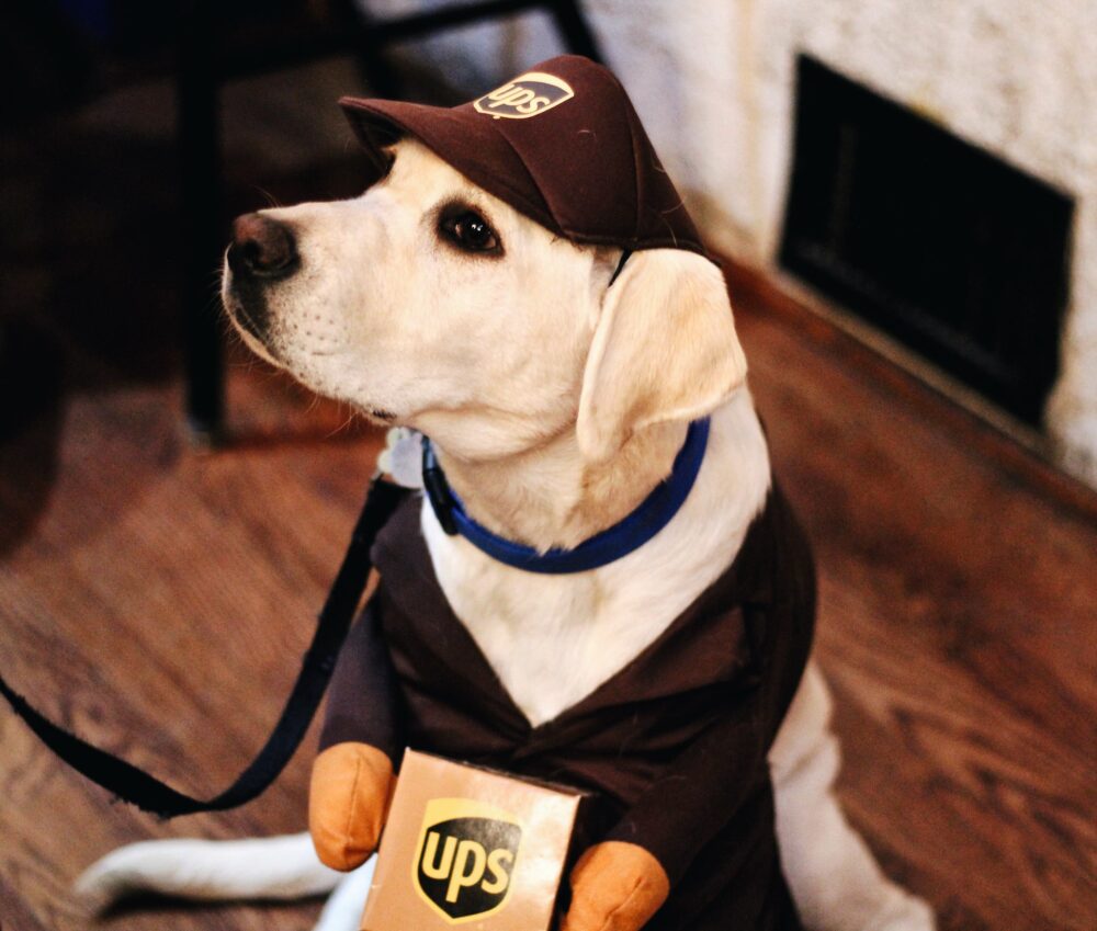 What Are The UPS Store Hours SavingAdvice Blog