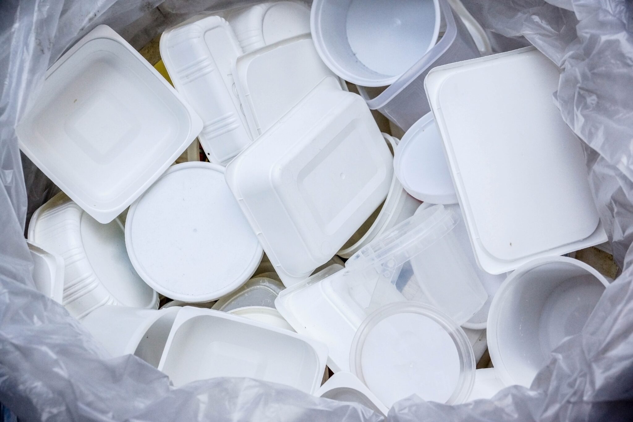 Everyday Products That Are Secretly Destroying the Environment