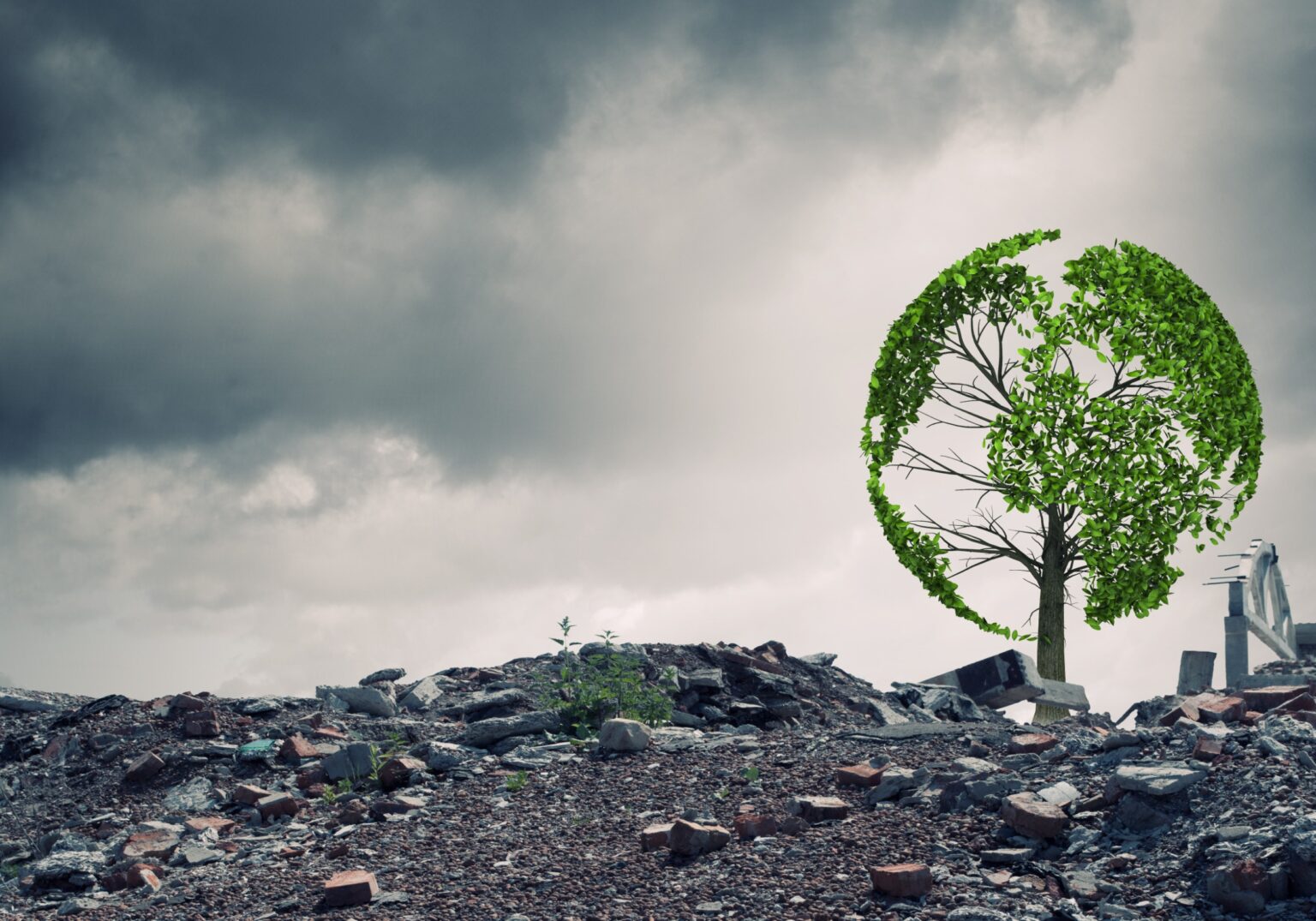 Everyday Products That Are Secretly Destroying the Environment