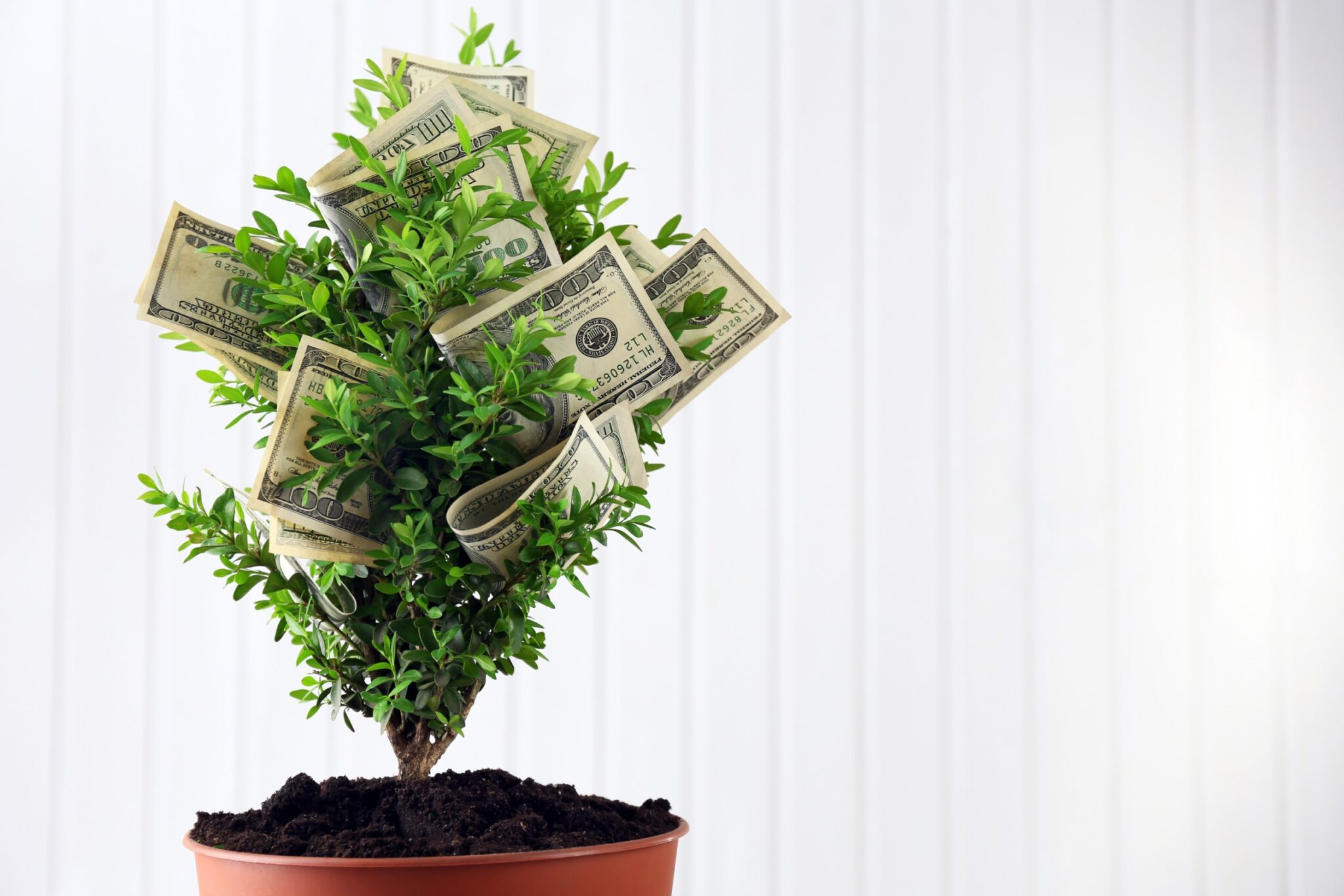 18 Common Sayings That Highlight Socio-Economic Disparities ...